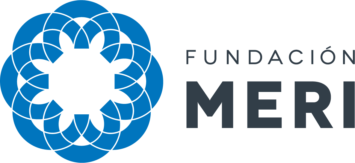 LOGOTIPO MERI_uso horizontal | Ladera Sur