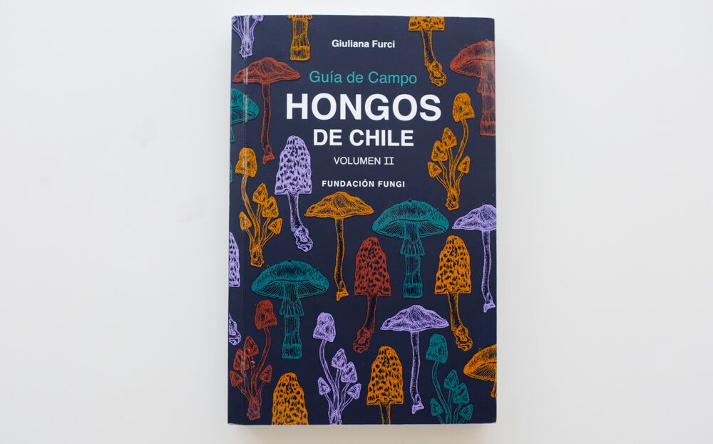 Lanzan nueva guía de campo para maravillarse con los hongos chilenos ...