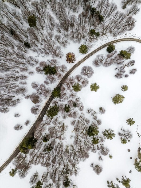 ©Daniel Pinilla | Ladera Sur