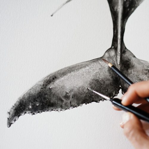 ballena-cola-antonia-reyes-pajarito ©Antonia Reyes | Ladera Sur