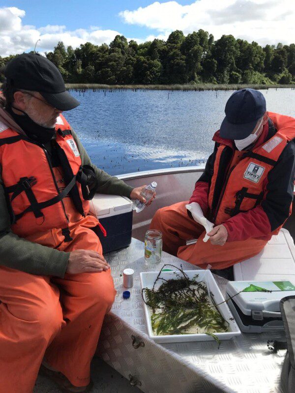 Monitoreo en humedal del Río Cruces ©Jorge Tomasevic | Ladera Sur