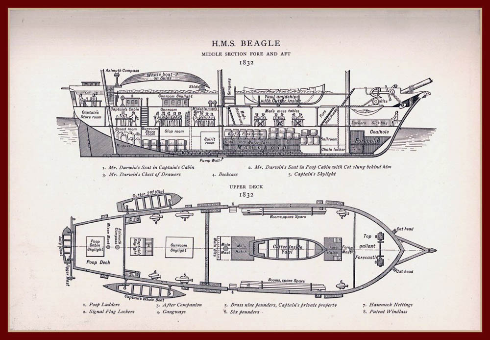 5. HMS Beagle | Ladera Sur