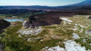 Los bofedales, ecosistemas cruciales para la vida en la estepa árida de ...