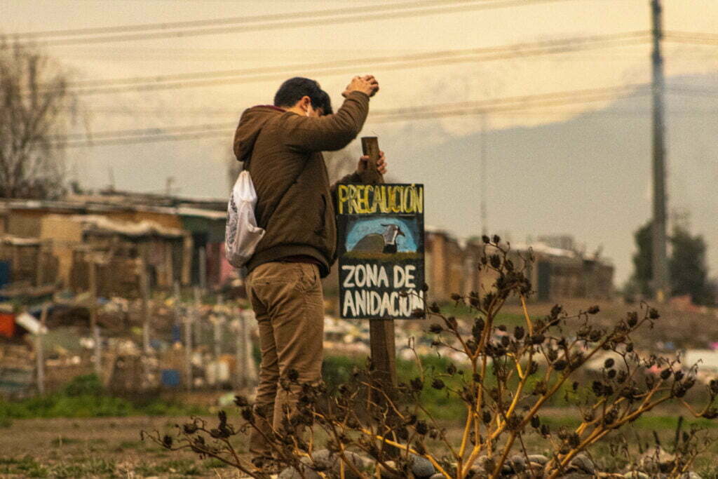 Humedales de Maipú: Los tesoros escondidos de una de las comunas más ...