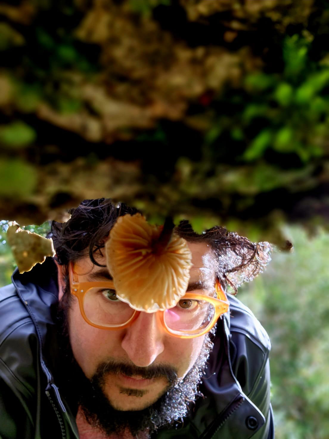 ¿Hongos en la biotecnología? Entrevista a Pablo Zamora, bioquímico y ...