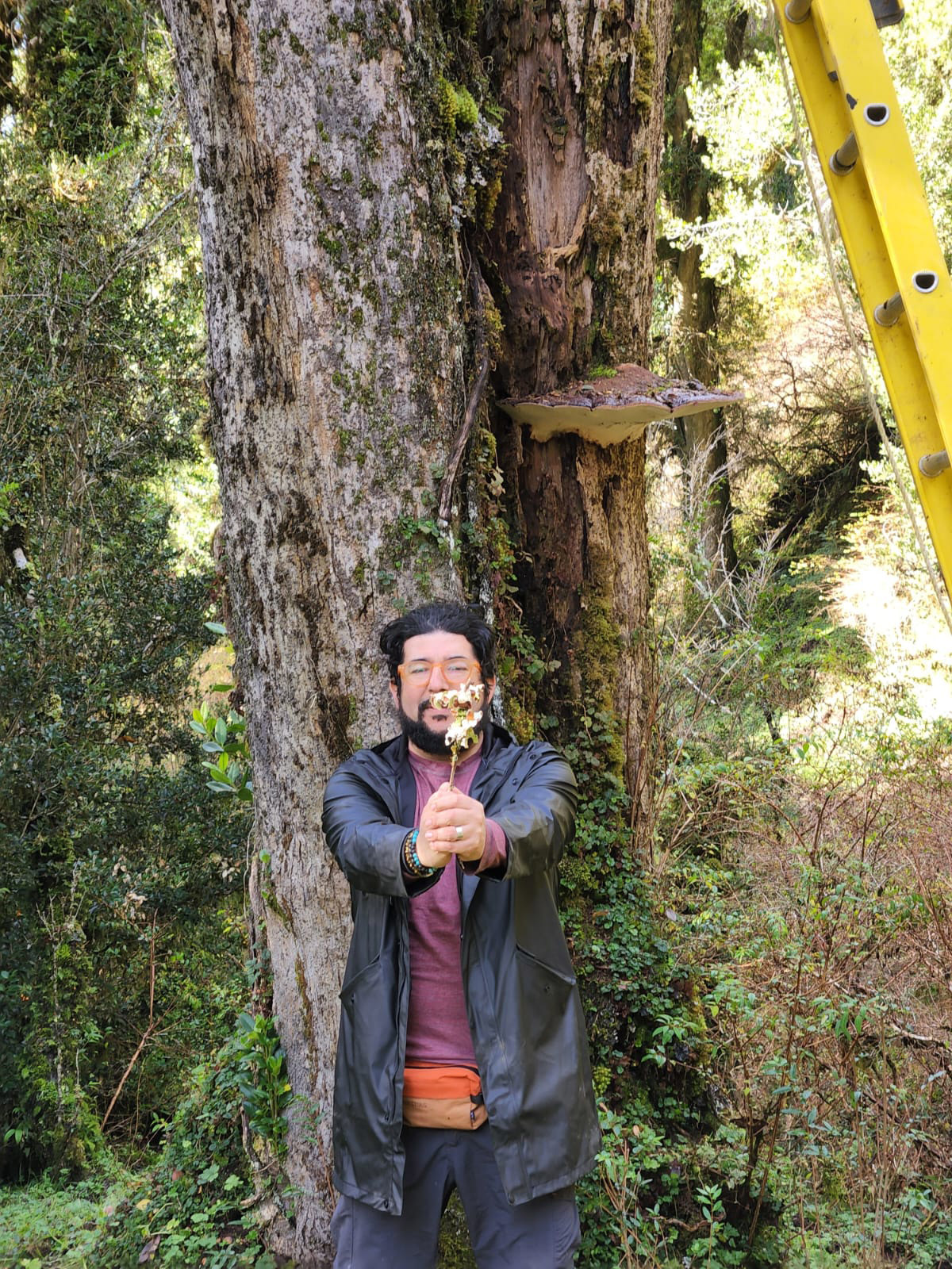 ¿Hongos en la biotecnología? Entrevista a Pablo Zamora, bioquímico y ...