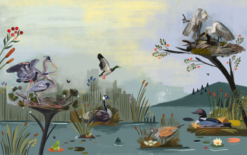 Maya Hanisch, artista: “Lo que hago es un juego en el que compongo a ...