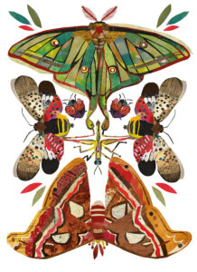 Maya Hanisch, artista: “Lo que hago es un juego en el que compongo a ...