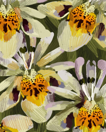 Maya Hanisch, artista: “Lo que hago es un juego en el que compongo a ...