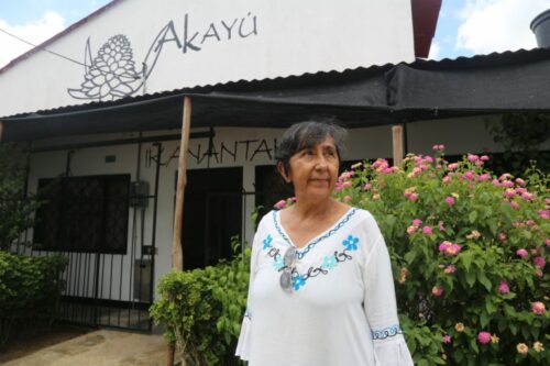 Colombia: la historia de cómo una flor brinda alternativas de vida a ...