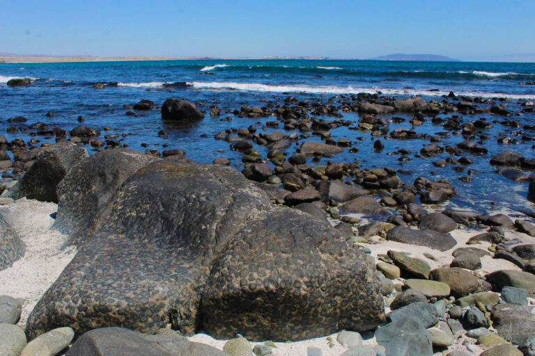 Conociendo el puerto de Caldera: una mezcla de historia, patrimonio y ...