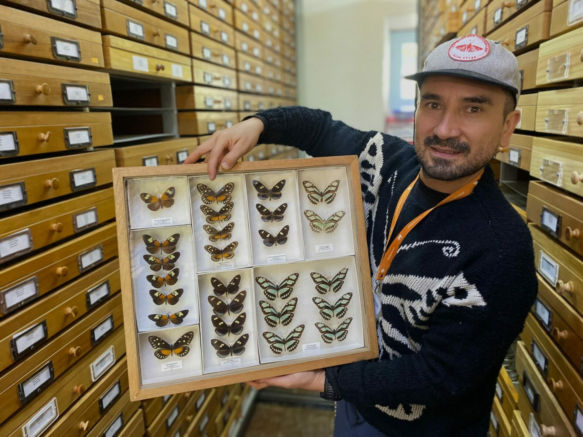 Colombia se ratifica como el país más diverso en mariposas con 3.877 ...