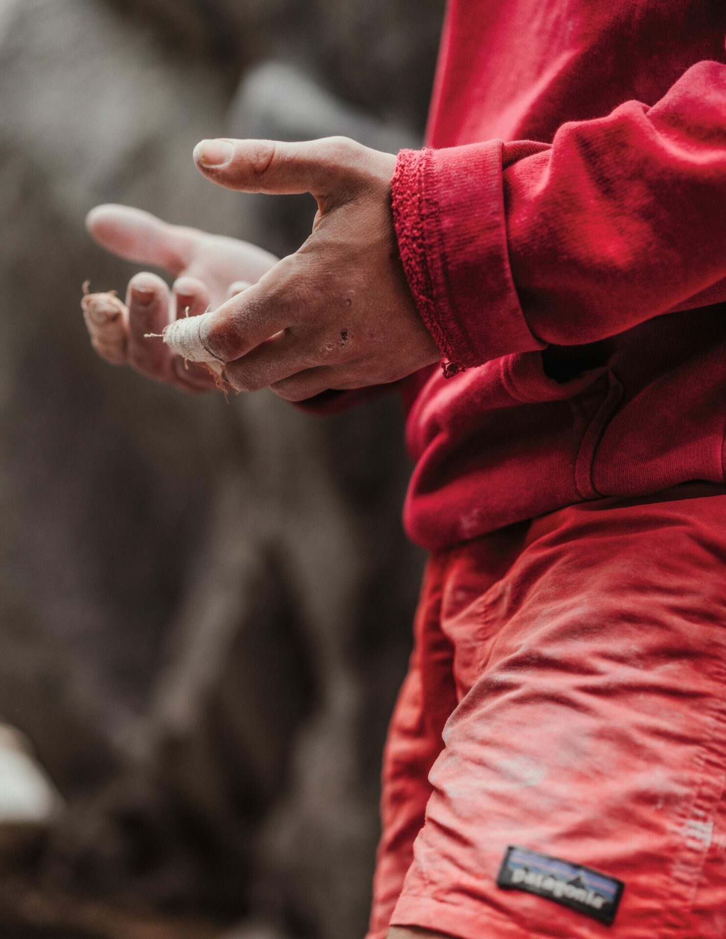 Patagonia está de aniversario y este es su compromiso en los próximos ...