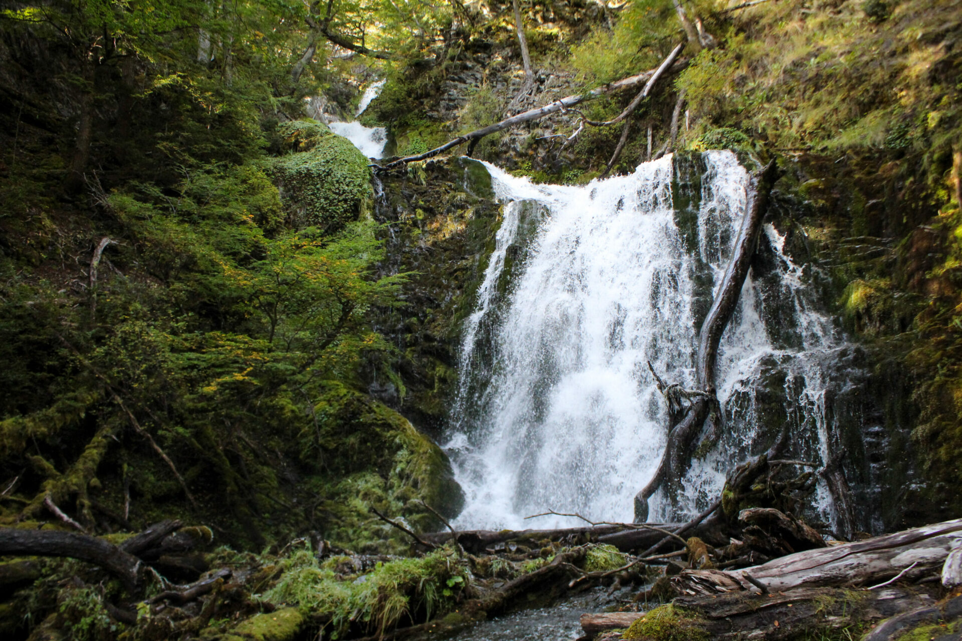 La indómita Tierra del Fuego: un paraíso de historias y paisajes ...