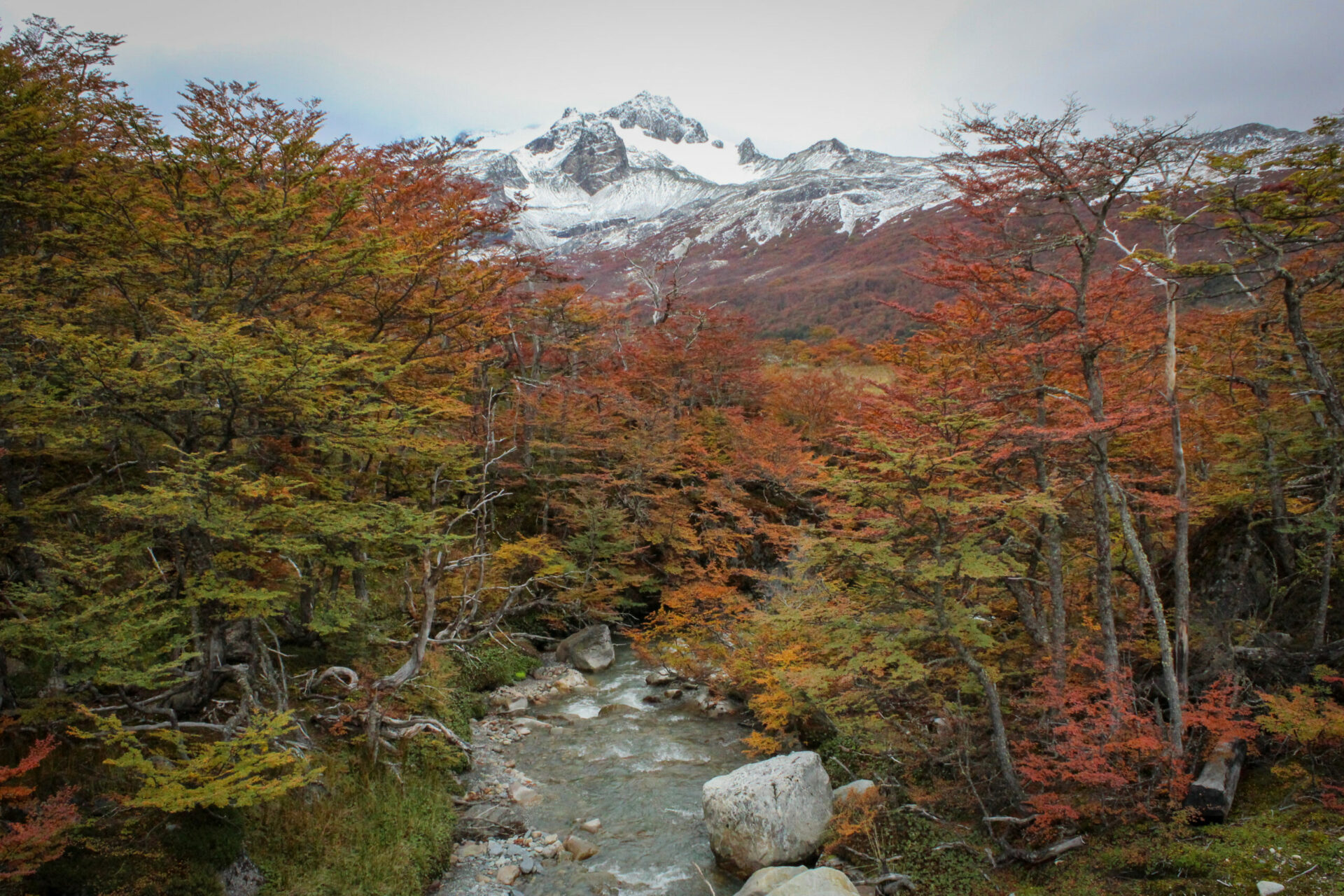 La indómita Tierra del Fuego: un paraíso de historias y paisajes ...