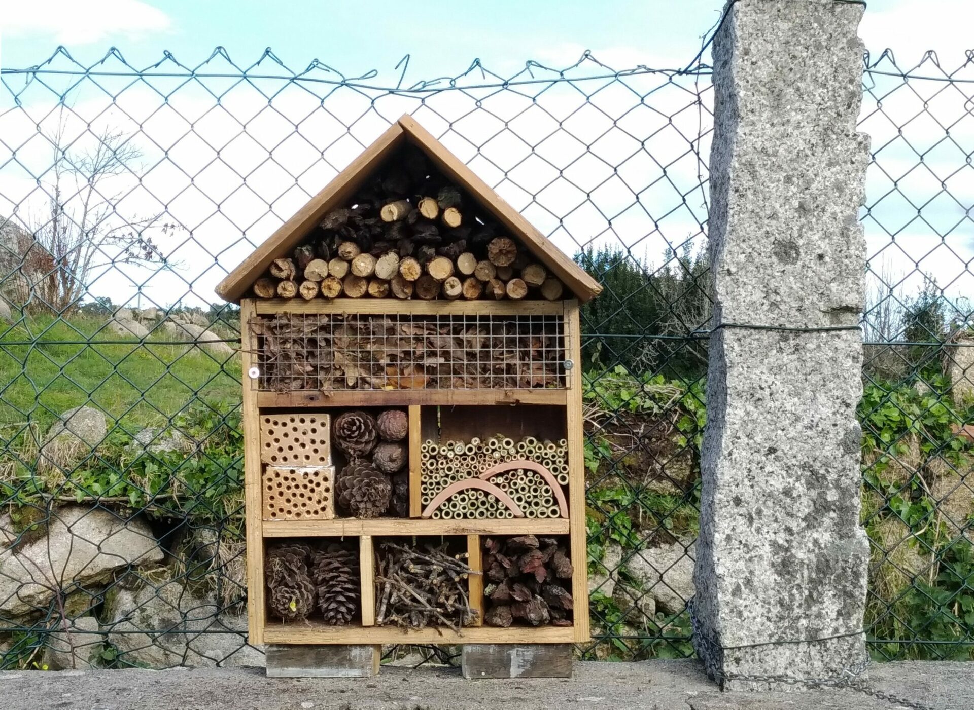Hoteles para insectos: una iniciativa que crece en Chile | Ladera Sur