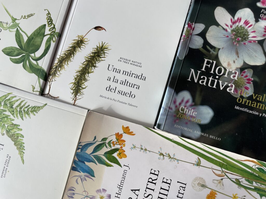 Cinco libros para comenzar en la botánica | Ladera Sur