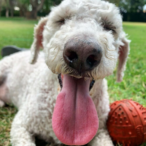 Gabriel León, comunicador científico: “No vengo a enseñar ciencia, sino ...