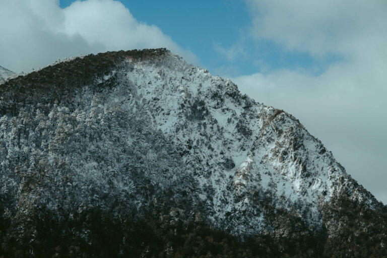 La magia del Parque Nacional Conguillío en plena nevada otoñal | Ladera Sur
