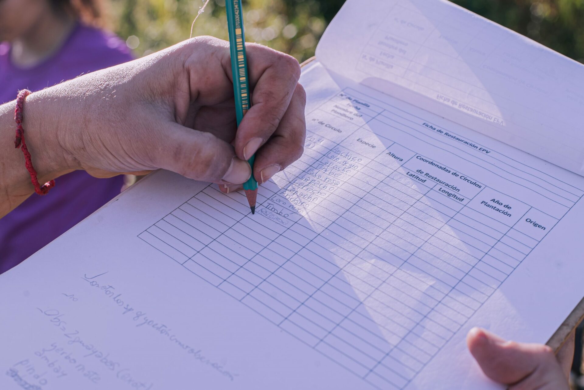 Conociendo El Puente Verde, el nuevo paraíso de la conservación para ...