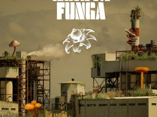 Los animales sagrados en los Andes centrales | Ladera Sur