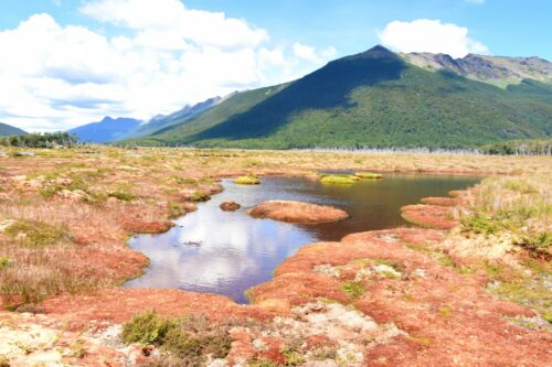 Parque Karukinka celebra 20 años de conservación en Tierra del Fuego ...