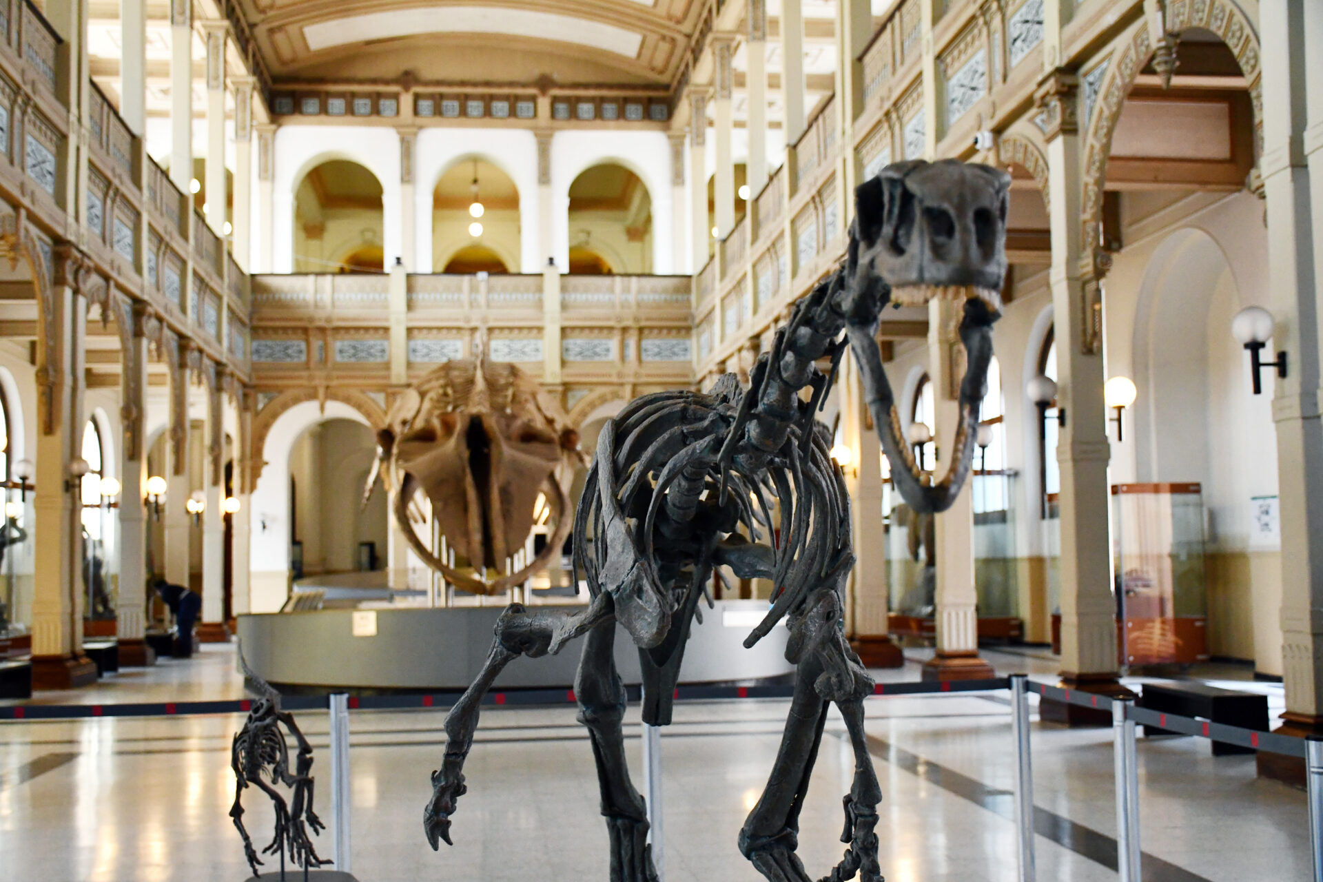 La Más Relevante Exposición De Dinosaurios De Los últimos Tiempos Se