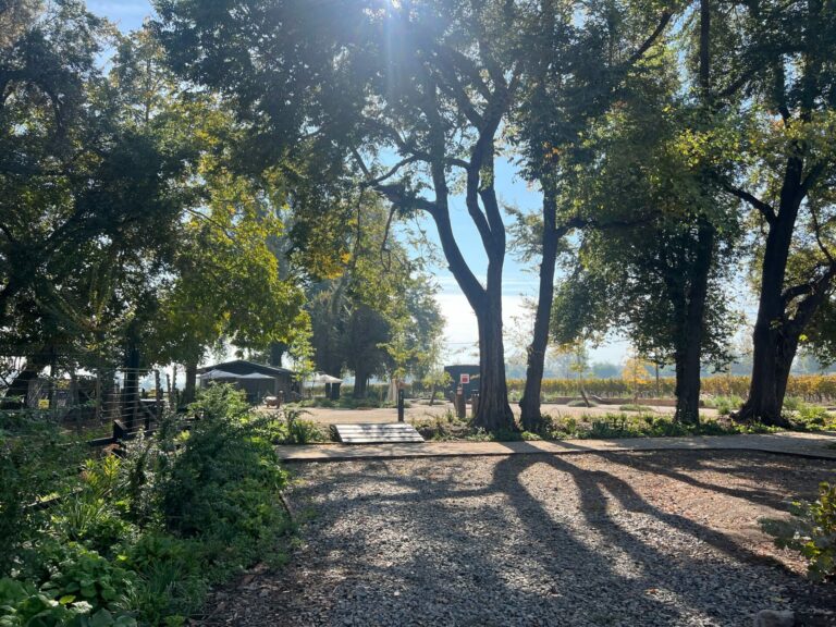 Jardín de Macul: un imperdible para disfrutar en familia y conectar con ...
