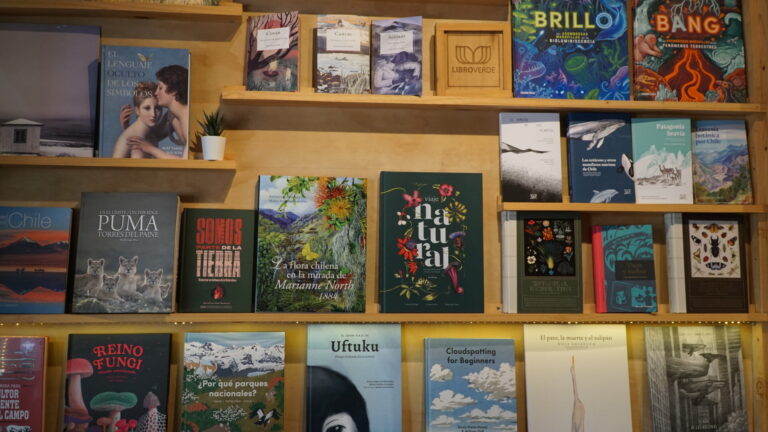 La historia de «Libro Verde», homenaje a una semana de la partida de su ...