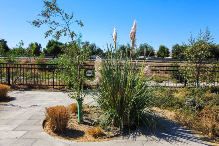 Parque Mapocho Río ya es una realidad: Inauguran últimos tramos y ...
