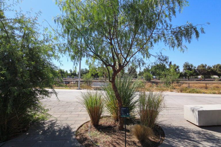 Parque Mapocho Río ya es una realidad: Inauguran últimos tramos y ...