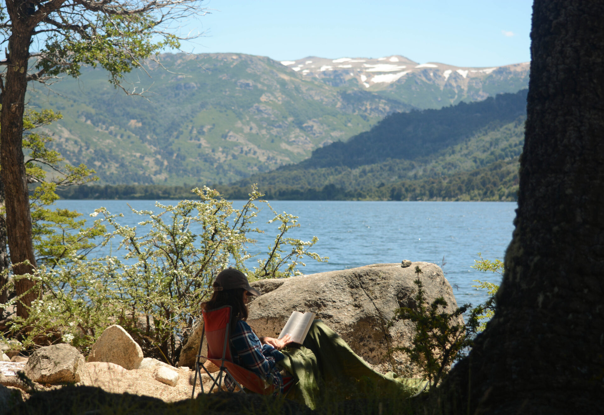Conociendo Ruca Choroy: la «casa de loros» en el Parque Nacional Lanín ...