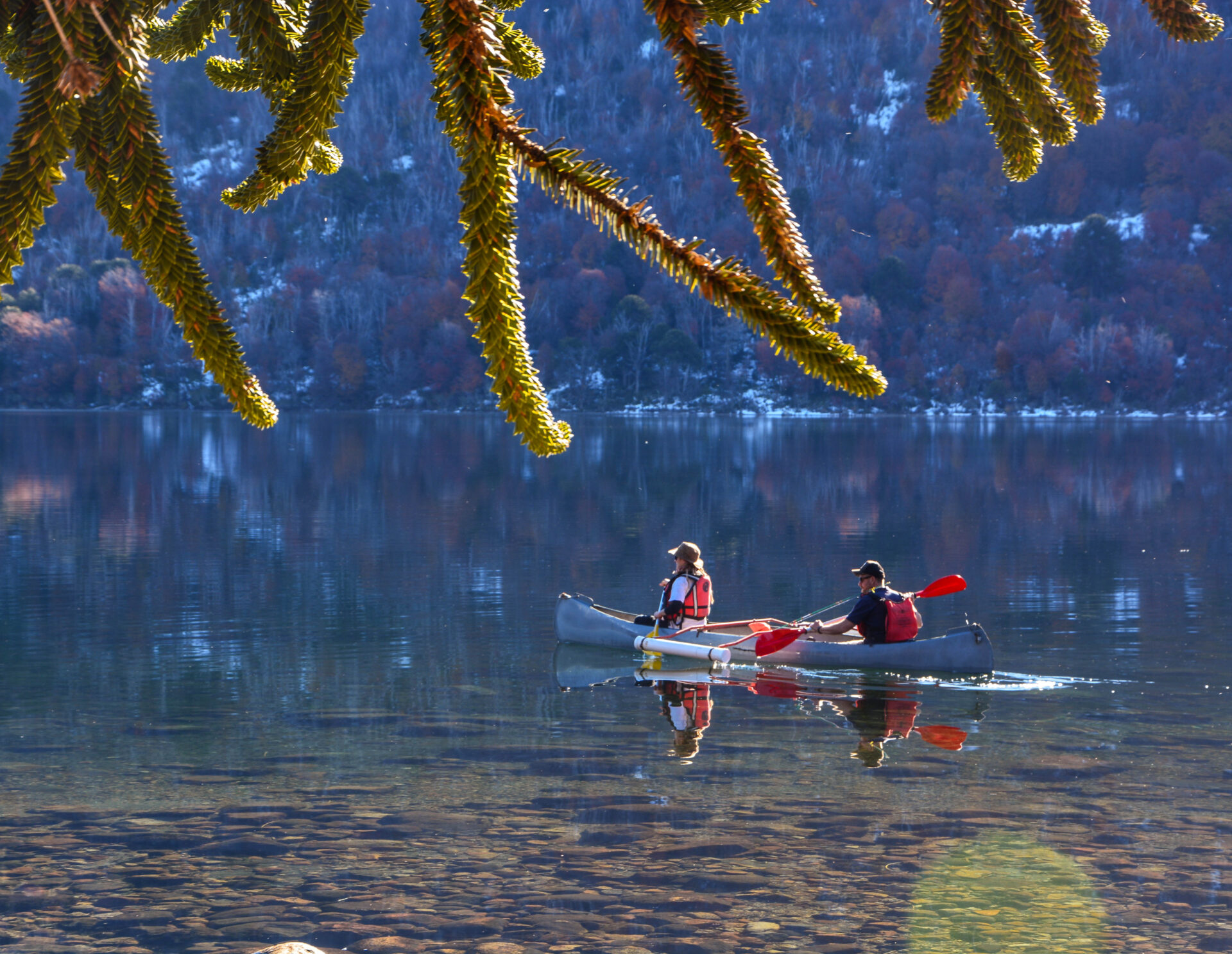 Conociendo Ruca Choroy: la «casa de loros» en el Parque Nacional Lanín ...
