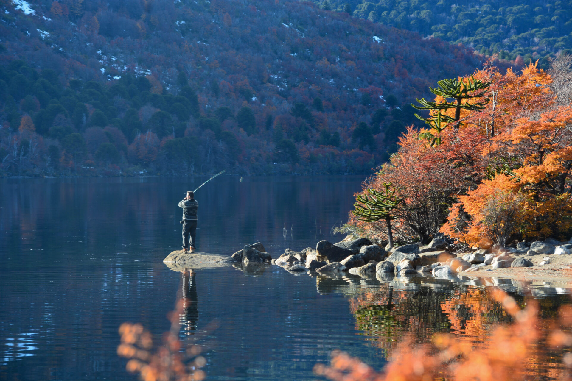 Conociendo Ruca Choroy: la «casa de loros» en el Parque Nacional Lanín ...