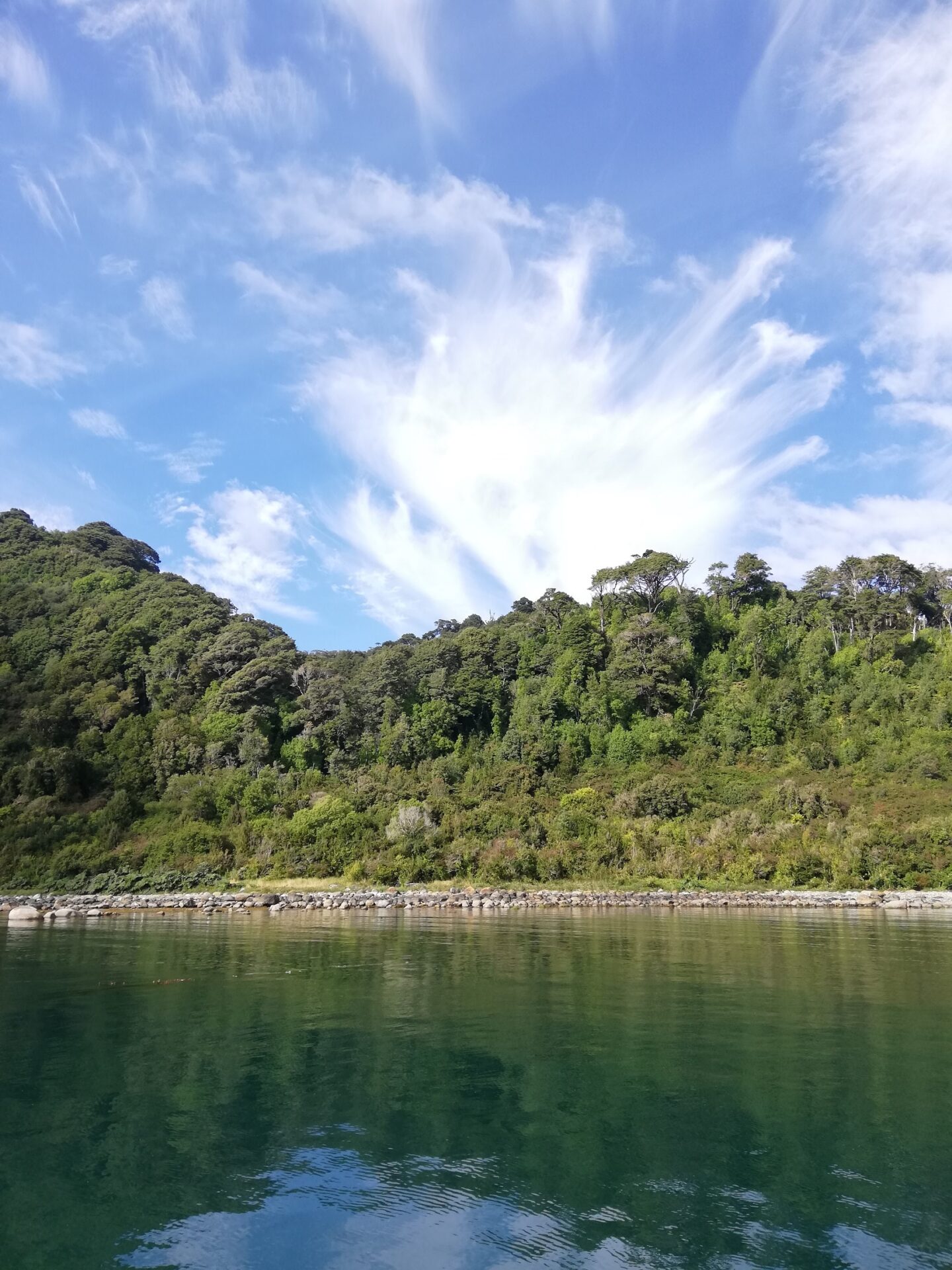 La importancia de Isla Guafo, el refugio para la biodiversidad que fue ...