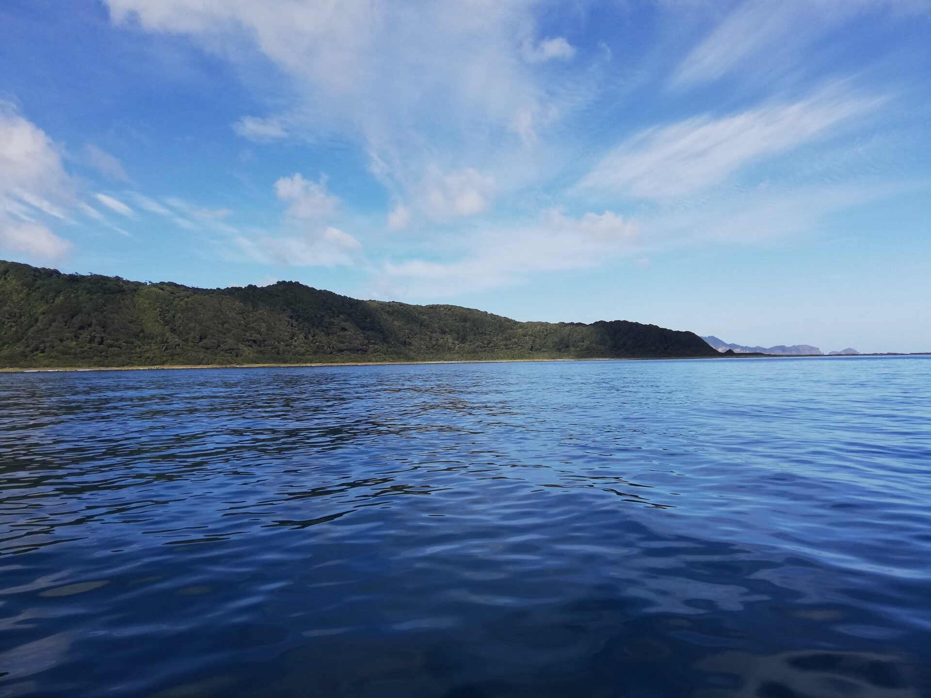 La importancia de Isla Guafo, el refugio para la biodiversidad que fue ...