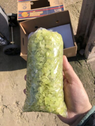 ¿Ensalada de penca? ¿Alcachofa silvestre? El mundo del cardo penquero ...