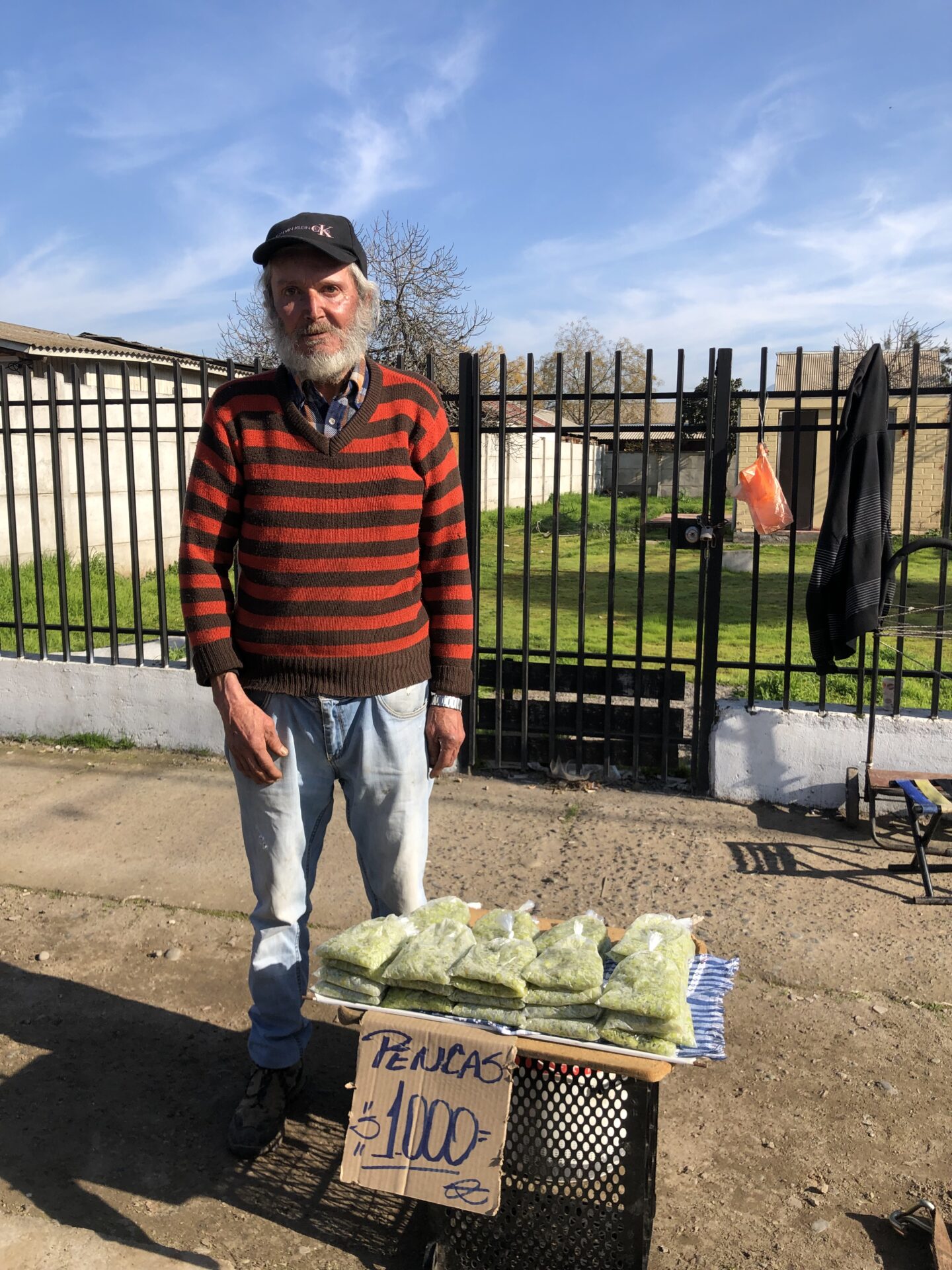 ¿Ensalada de penca? ¿Alcachofa silvestre? El mundo del cardo penquero ...