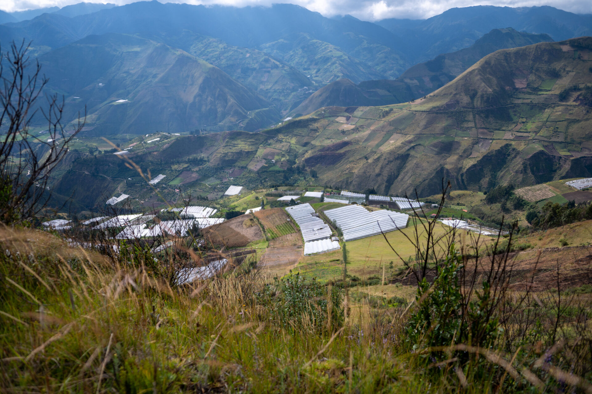 Los Andes Norte: Un corredor de vida para los ecosistemas y comunidades ...