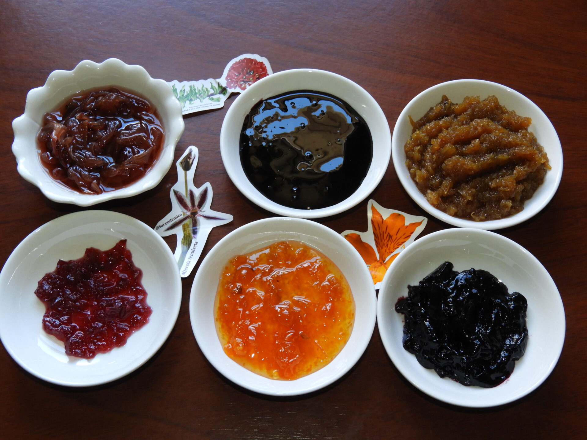 ¿Maqui, avellana, piñón, calafate? Conociendo los frutos nativos de ...