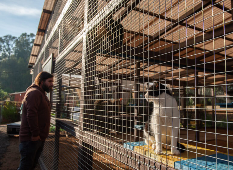 Transformando envases en espacios para mascotas: Del plástico reciclado ...
