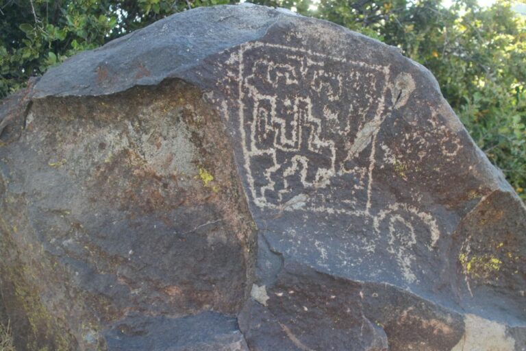 Petroglifos y biodiversidad: Descubriendo el fascinante valle de ...