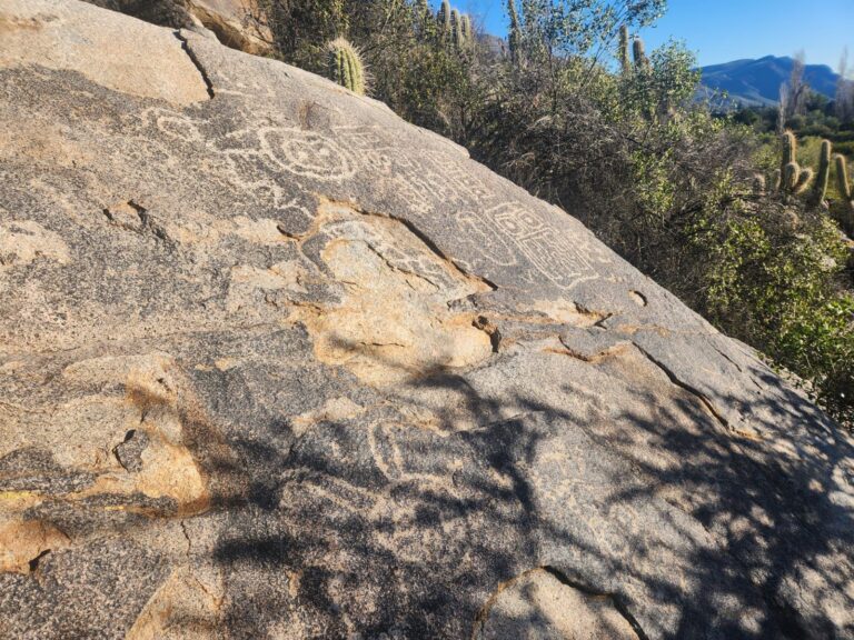 Petroglifos y biodiversidad: Descubriendo el fascinante valle de ...