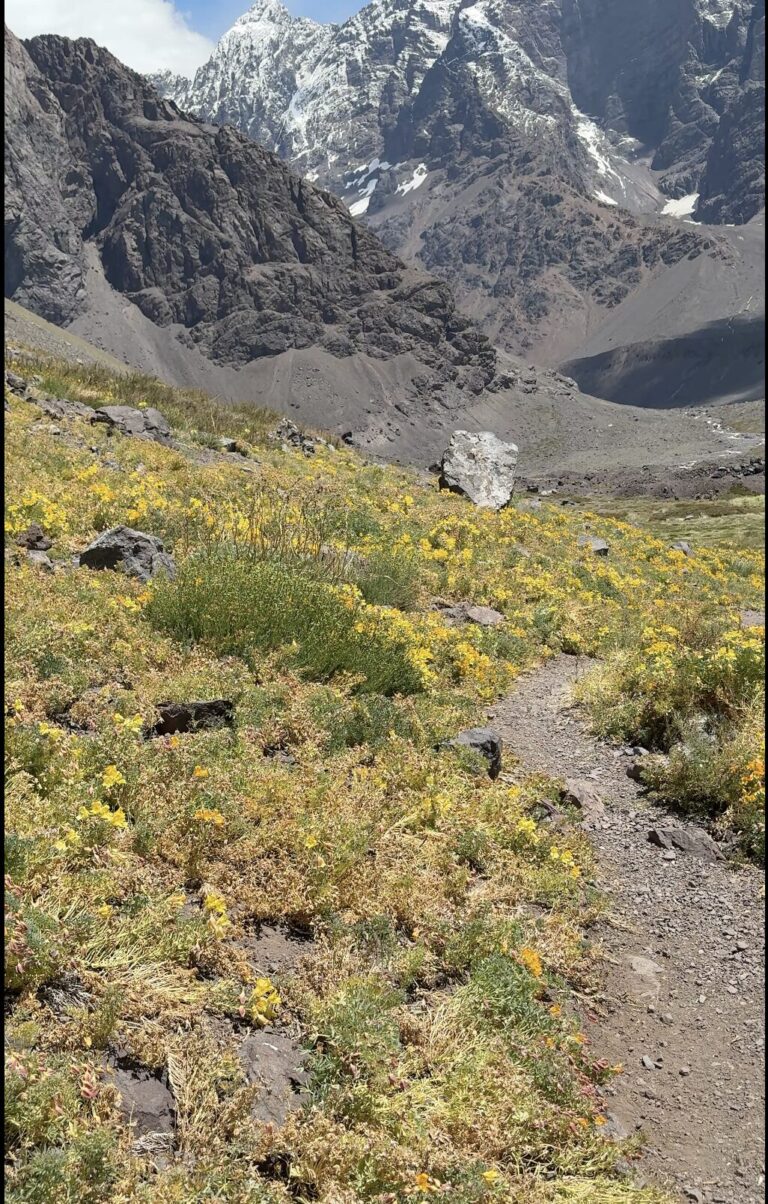 Parque Andino Juncal: El gran santuario que resguarda la vida en la ...