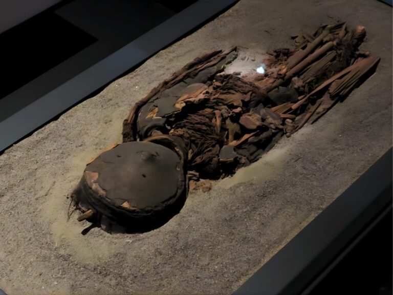 Nuevas luces para las momias chinchorro: Investigación revela detalles ...